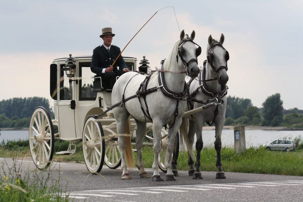 De mooiste trouwkoets voor jullie trouwerij - LoyaltyRide